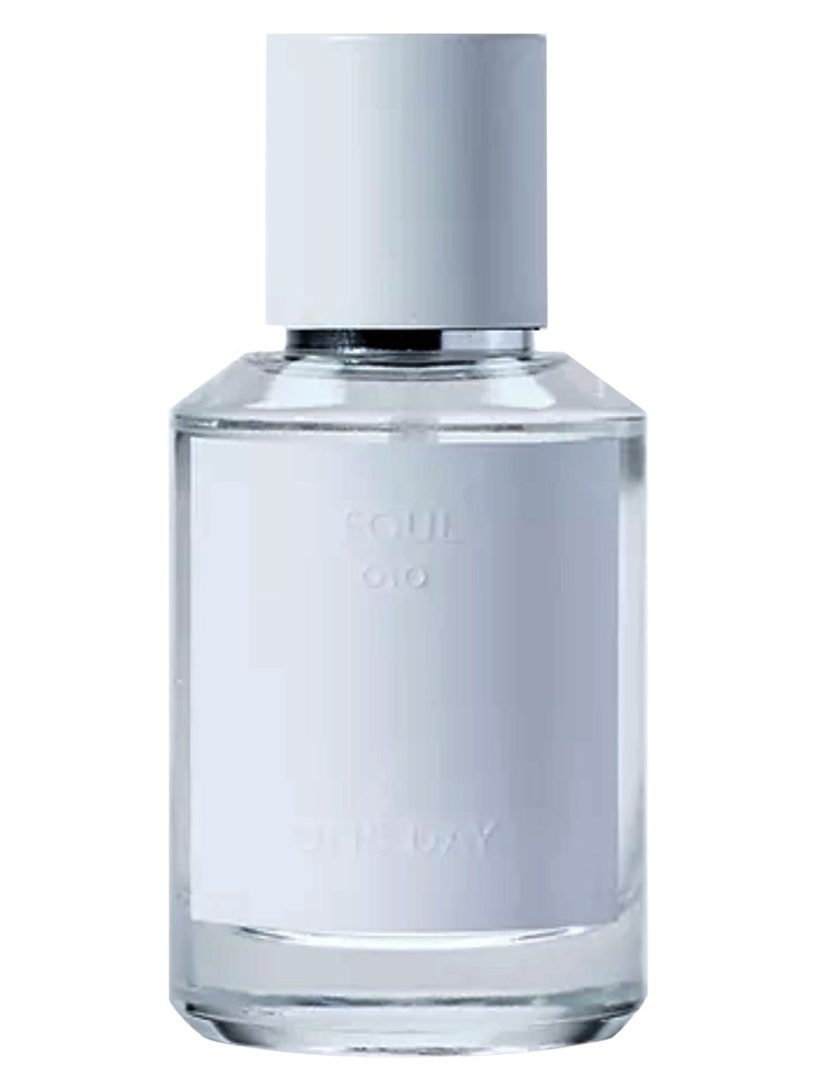 010 Soul One Day perfume - a fragrance for women and men 2021