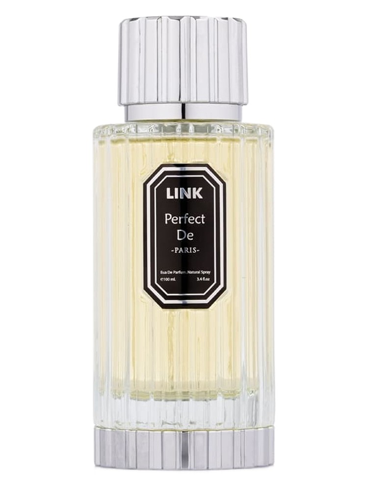 Perfect De Link LINK cologne - a fragrance for men 2022