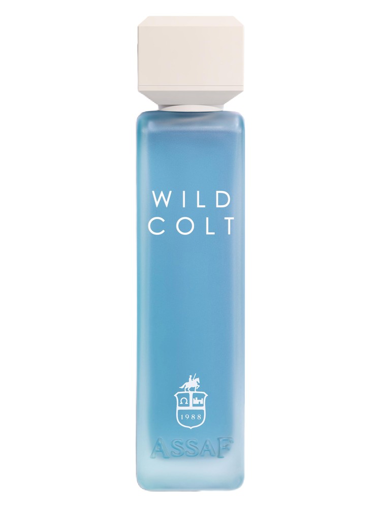 Wild Colt Assaf perfume - a fragrance for women and men 2022