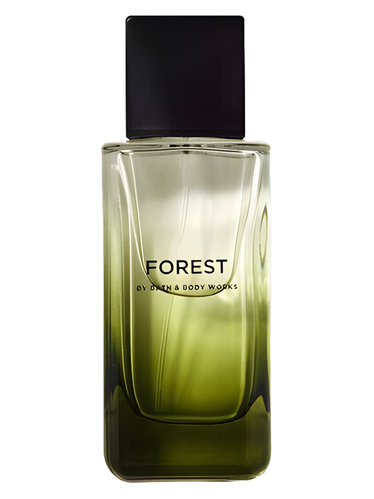 Forest Bath & Body Works Cologne - ein es Parfum für Männer 2020