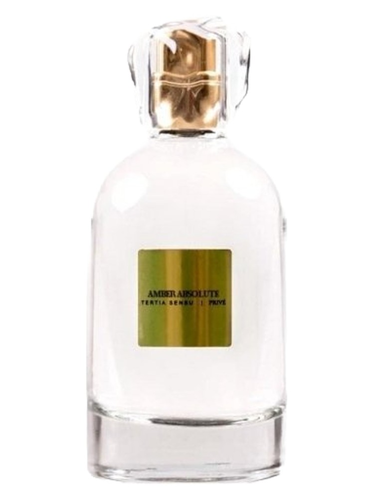 Amber Absolute Tertia Sensu perfume - a fragrance for women and men 2017
