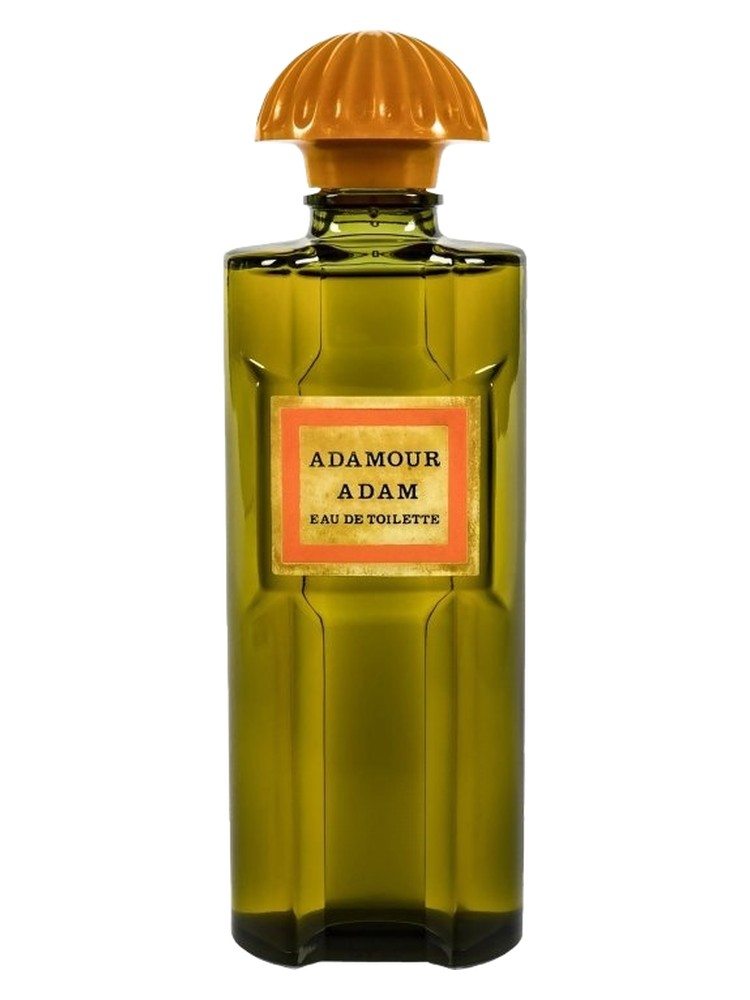 Adamour Adam perfume - a fragrance for women