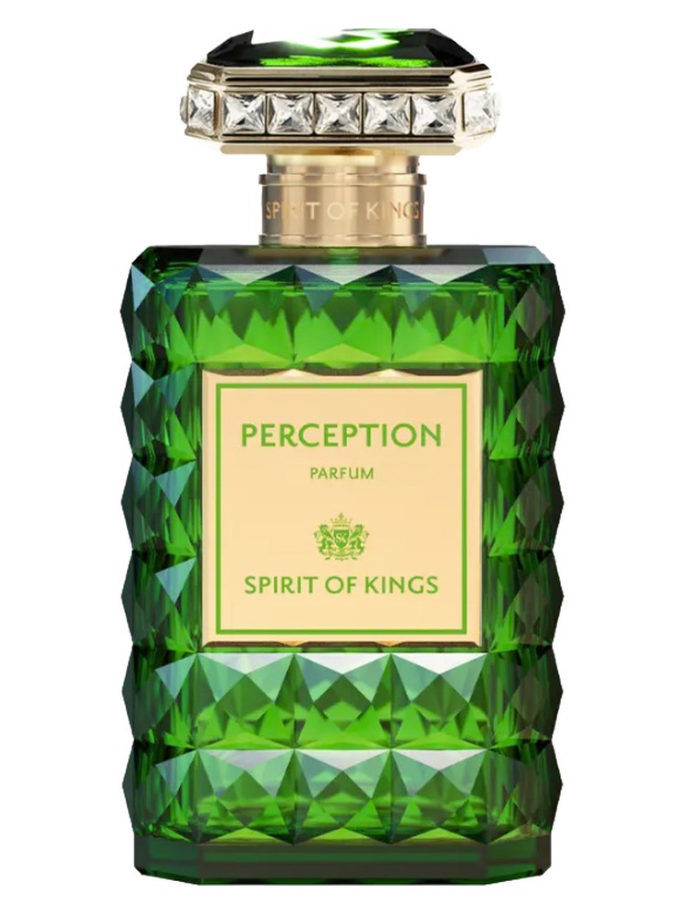 Perception Spirit Of Kings perfume - a fragrance for women and men 2022
