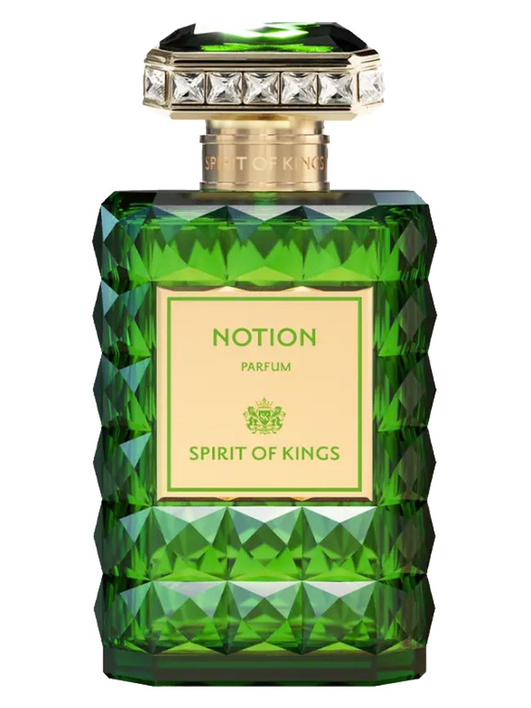 Notion Spirit Of Kings perfume - a fragrance for women and men 2022