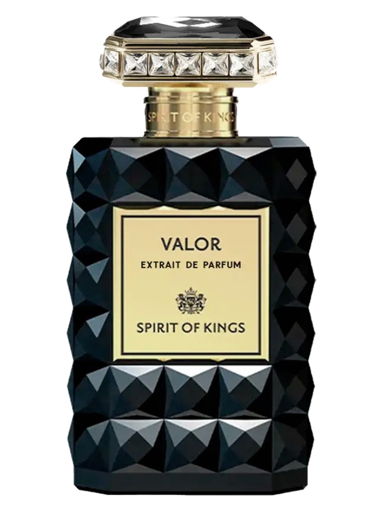 Valor Spirit Of Kings perfume - a fragrance for women and men 2022