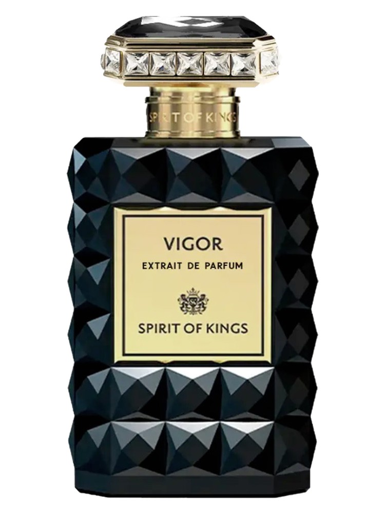 Vigor Spirit Of Kings perfume - a fragrance for women and men 2022