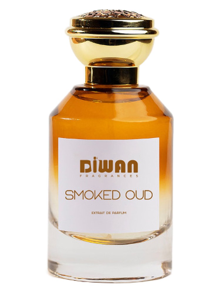 SMOKED OUD DIWAN perfume - a fragrance for women and men 2022