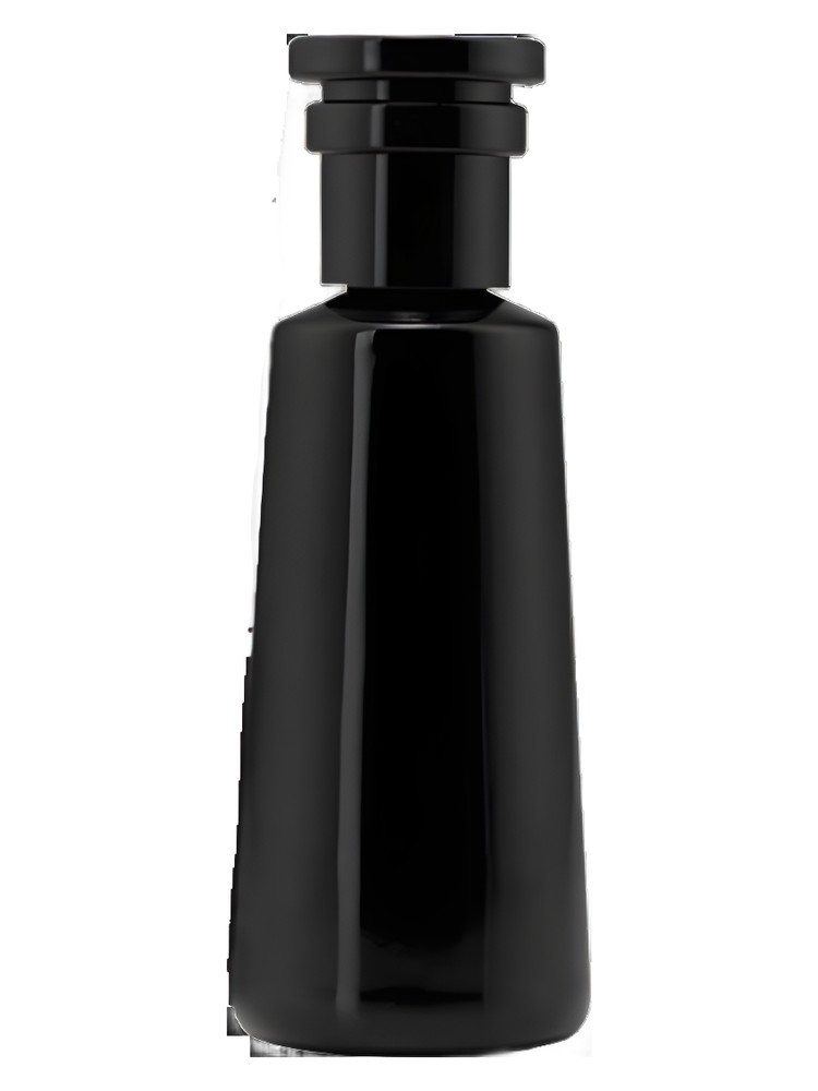 Ruler ARgENTUM perfume - a fragrance for women and men 2022