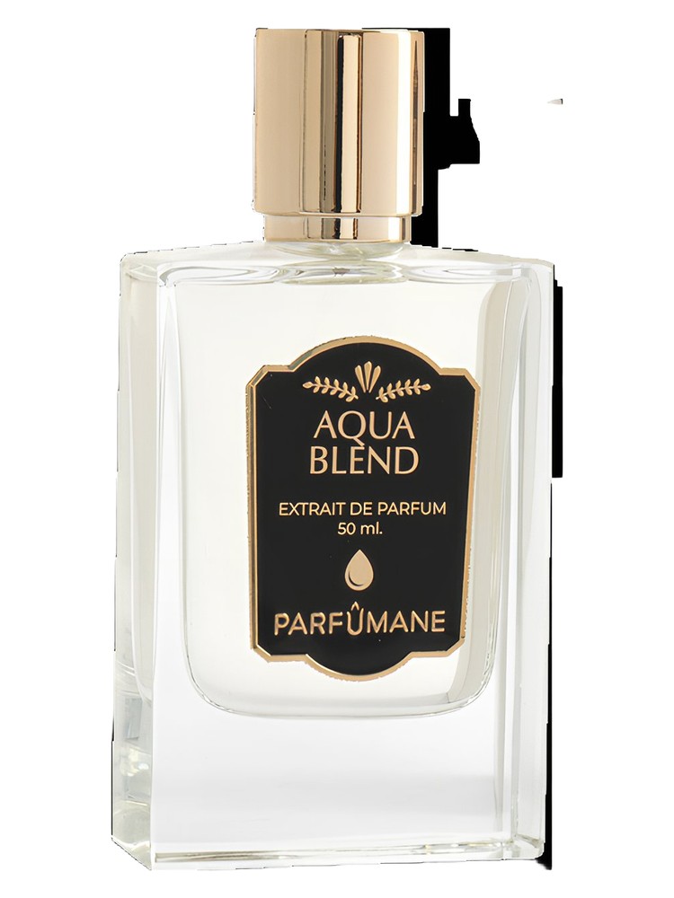 Aqua Blend Parfumane perfume - a fragrance for women and men 2022