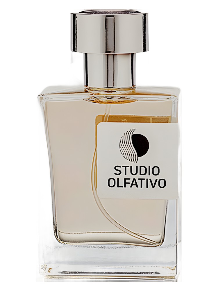 Sun Light Studio Olfativo perfume - a fragrance for women and men 2021