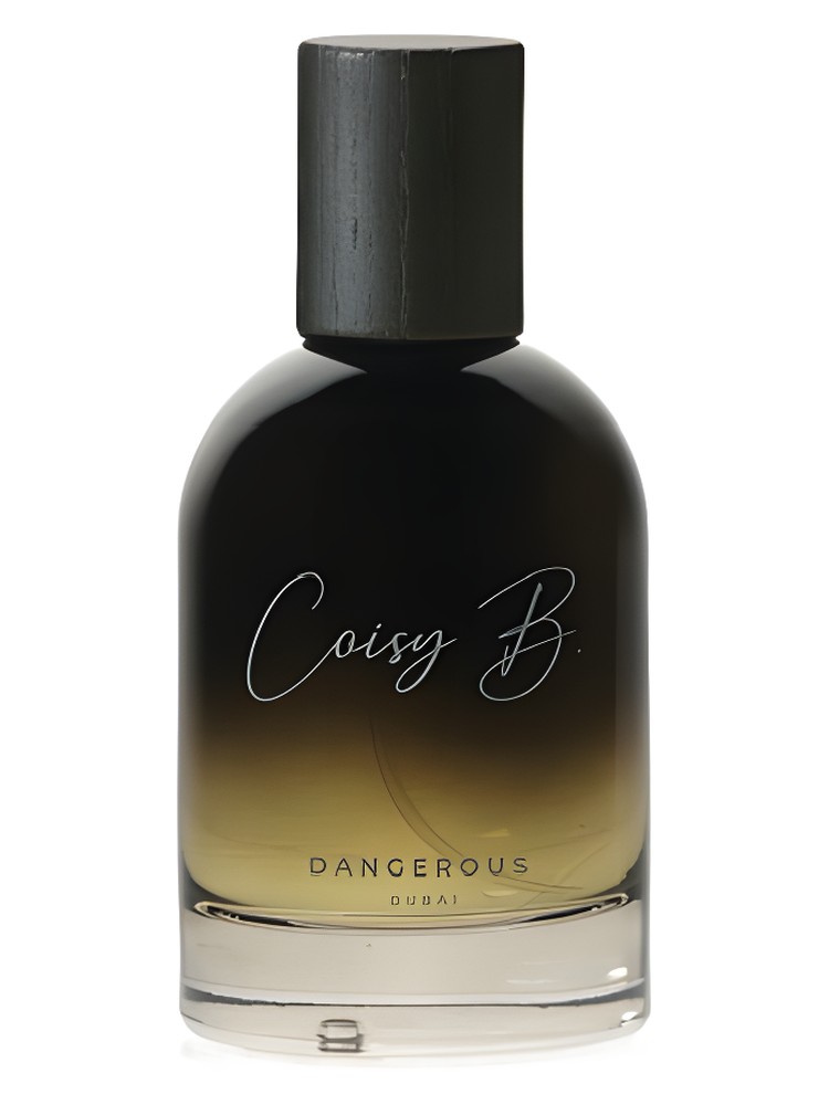 Dangerous Coisy B. perfume - a fragrance for women and men 2023