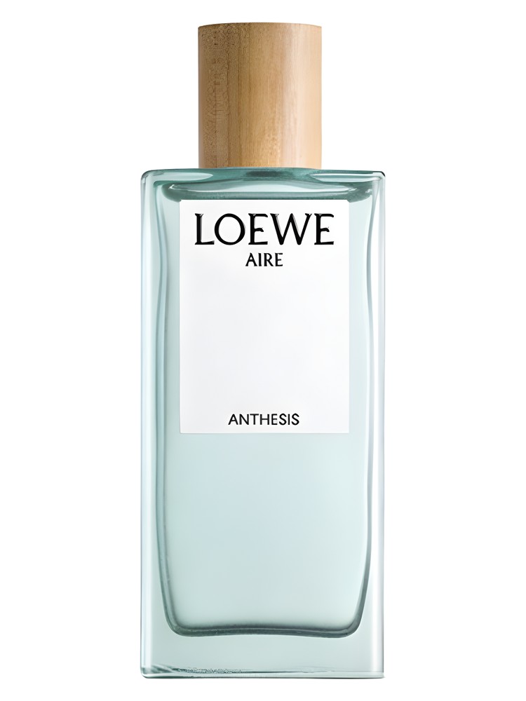 Aire Anthesis Loewe parfum - een geur voor dames en heren 2023