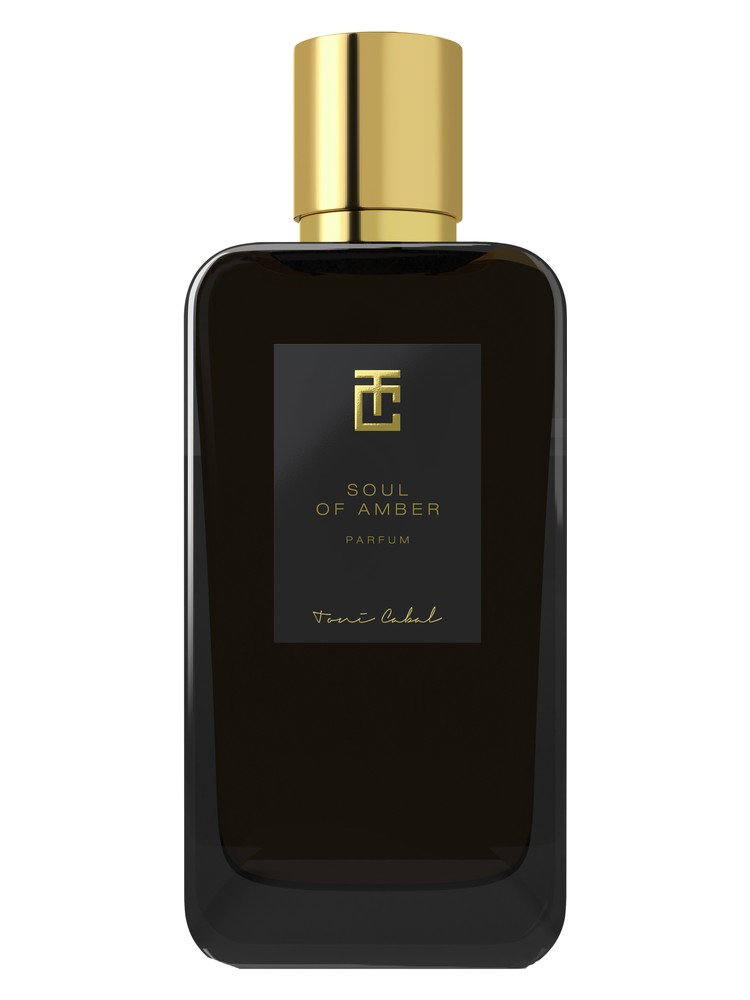 Soul of Amber Toni Cabal perfume - a fragrance for women and men 2016