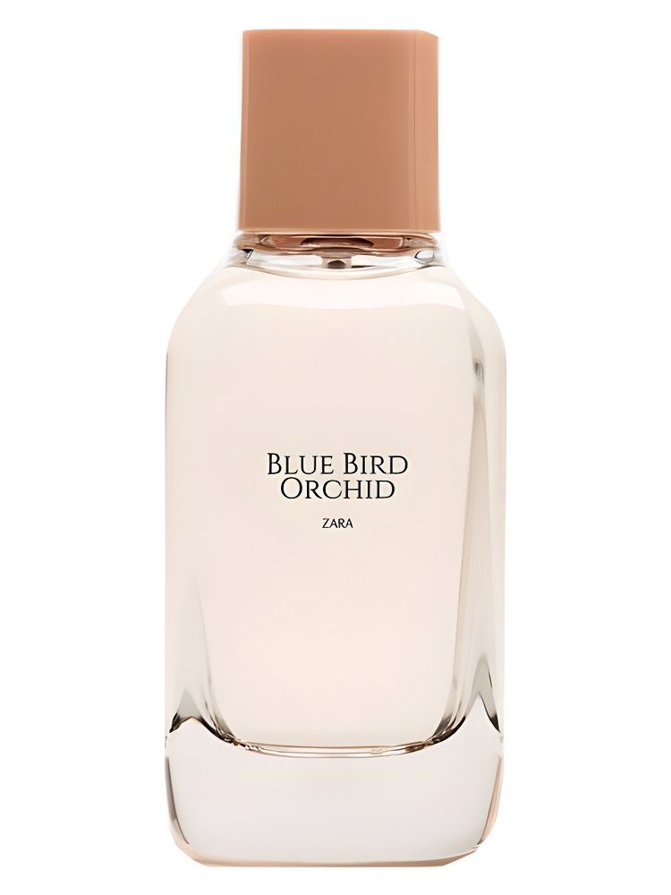 Blue Bird Orchid Zara perfume - a fragrance for women 2023