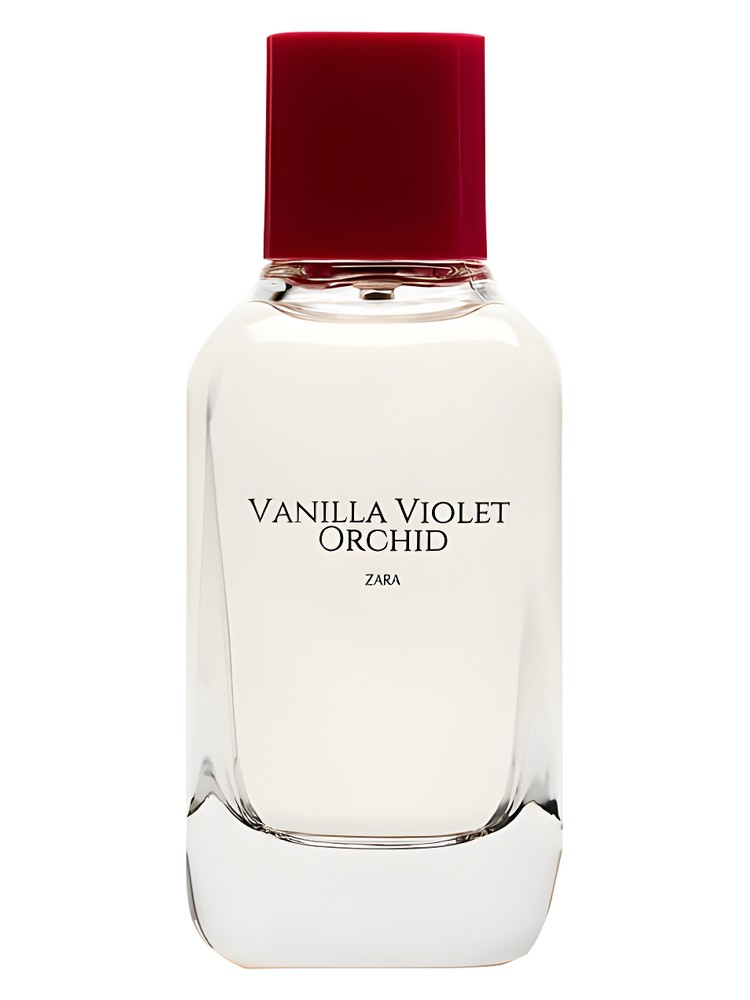 Vanilla Violet Orchid Zara perfume - a fragrance for women 2023