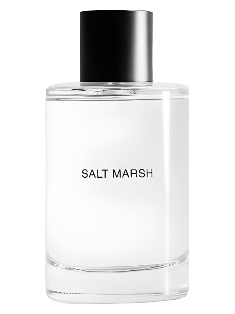 Salt March Massimo Dutti perfume - a fragrance for women and men 2021