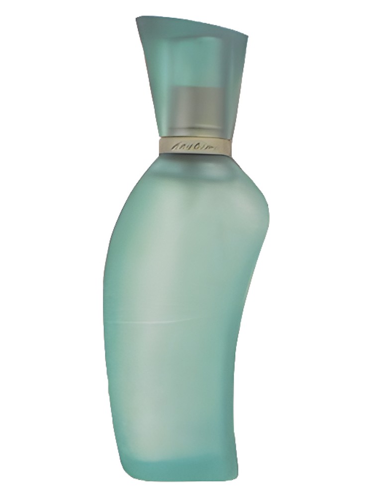 Moments Anytime Avon perfume - a fragrance for women 1998