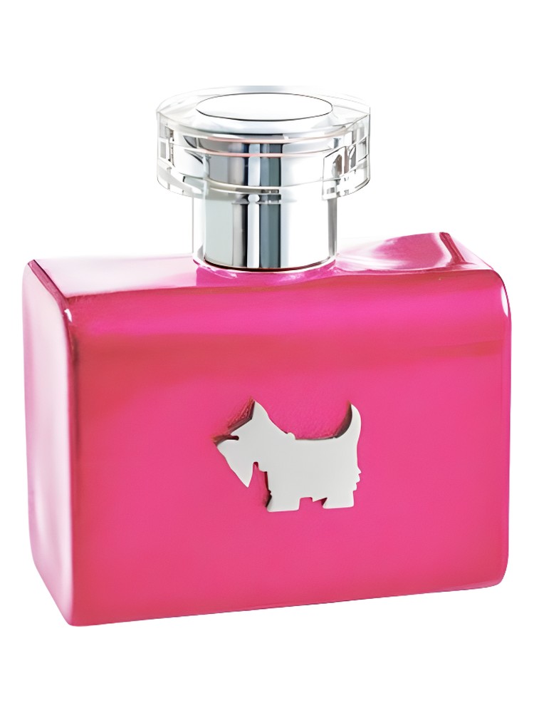 Terrier Pink Ferrioni fragancia - una fragancia para Mujeres