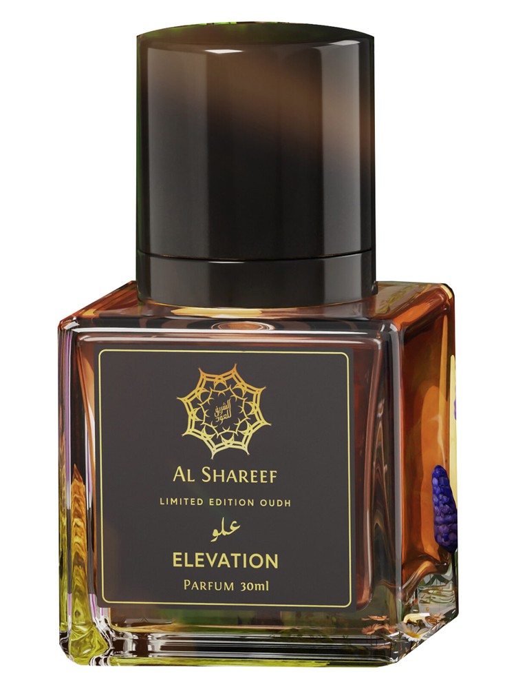 Elevation Parfum Al Shareef Oudh perfume - a fragrance for women and ...