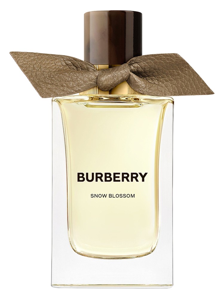 Snow Blossom Burberry perfume - a fragrance for women and men 2023