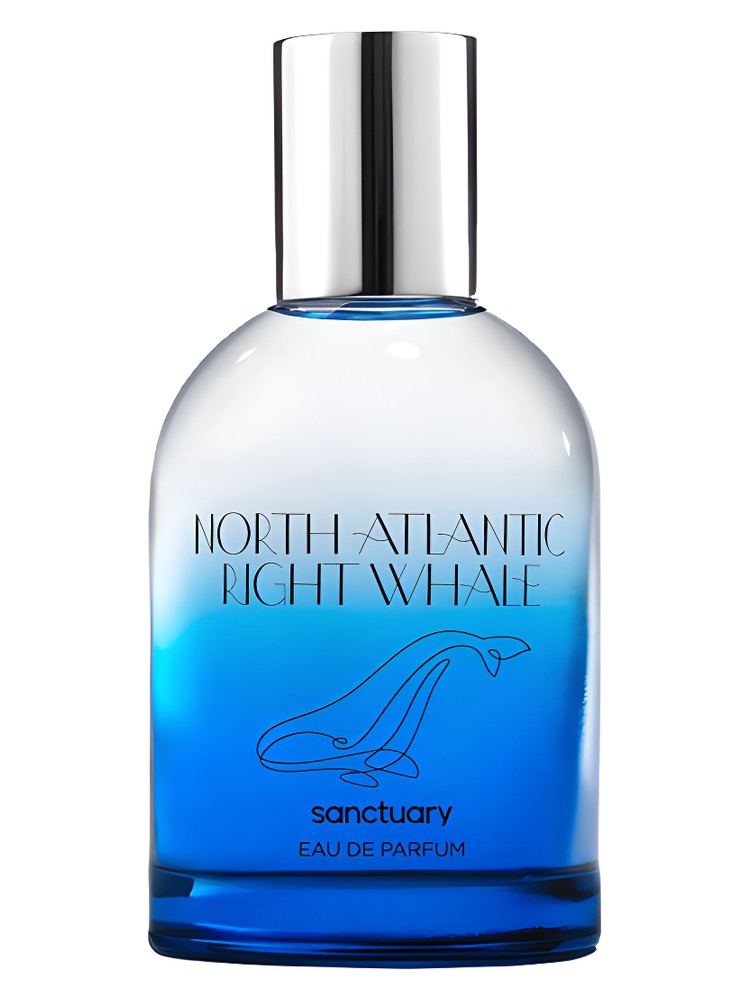 North Atlantic Right Whale Sanctuary perfume - a fragrance for women ...