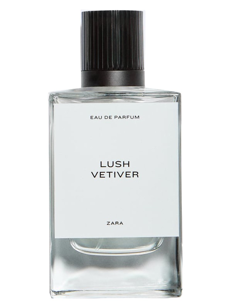 Lush Vetiver Zara cologne - a fragrance for men 2023