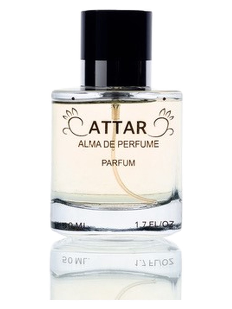 Sur ATTAR. Alma de Perfume Kolonjska voda - parfem za muškarce 2022