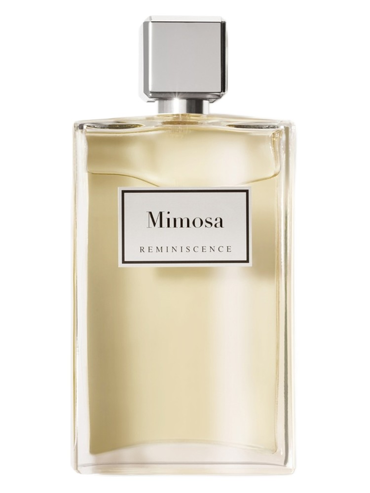 Mimosa Reminiscence perfume - a fragrance for women 2023
