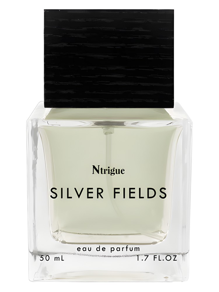 Silver Fields Ntrigue cologne - a fragrance for men 2021