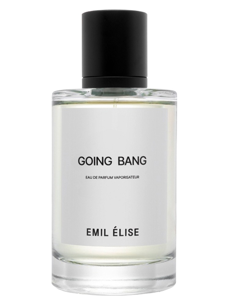 Going Bang Emil Elise perfume - a fragrance for women and men 2022
