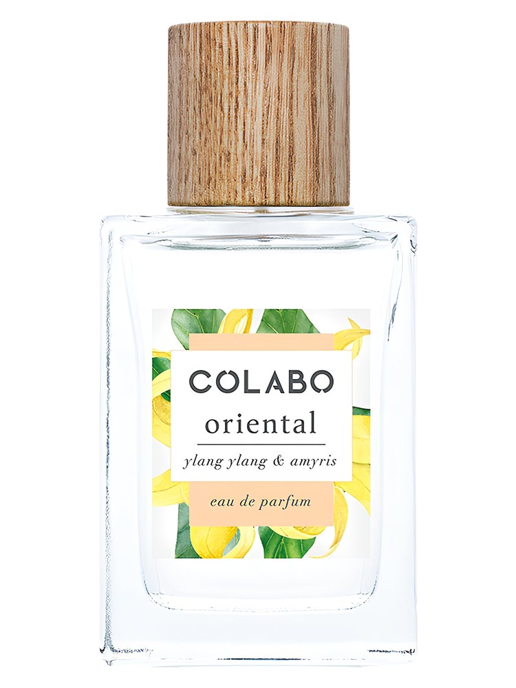 Oriental Ylang Ylang & Amyris COLABO perfume - a fragrance for women ...