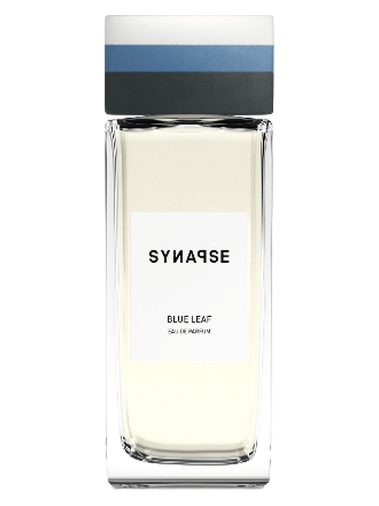 Blue Leaf Synapse perfume - a fragrance for women and men 2022