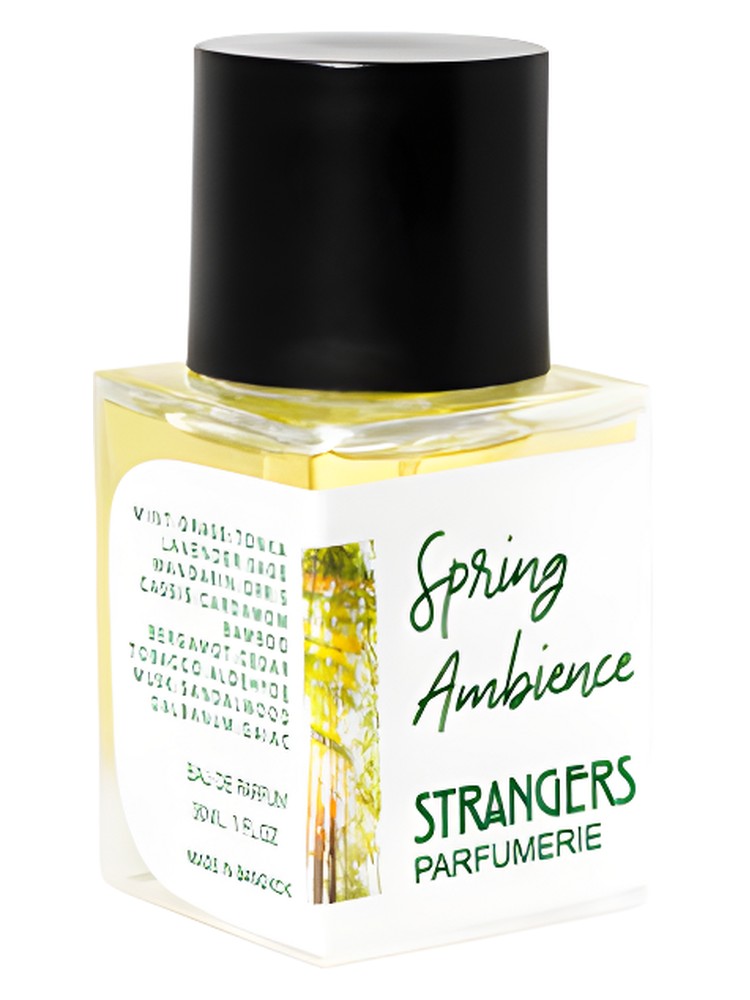 Spring Ambience Strangers Parfumerie perfume - a fragrance for women ...