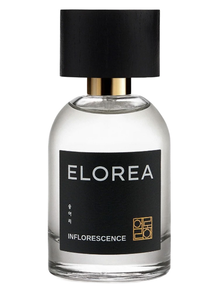 INFLORESCENCE (송아리) ELOREA | 향수 perfume - a fragrance for women and men ...