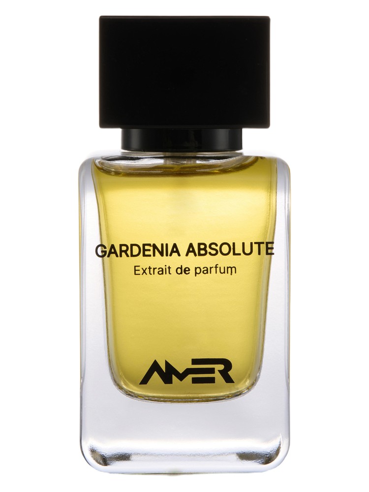 Gardenia Absolute Amer Perfumes perfume - a fragrance for women and men ...