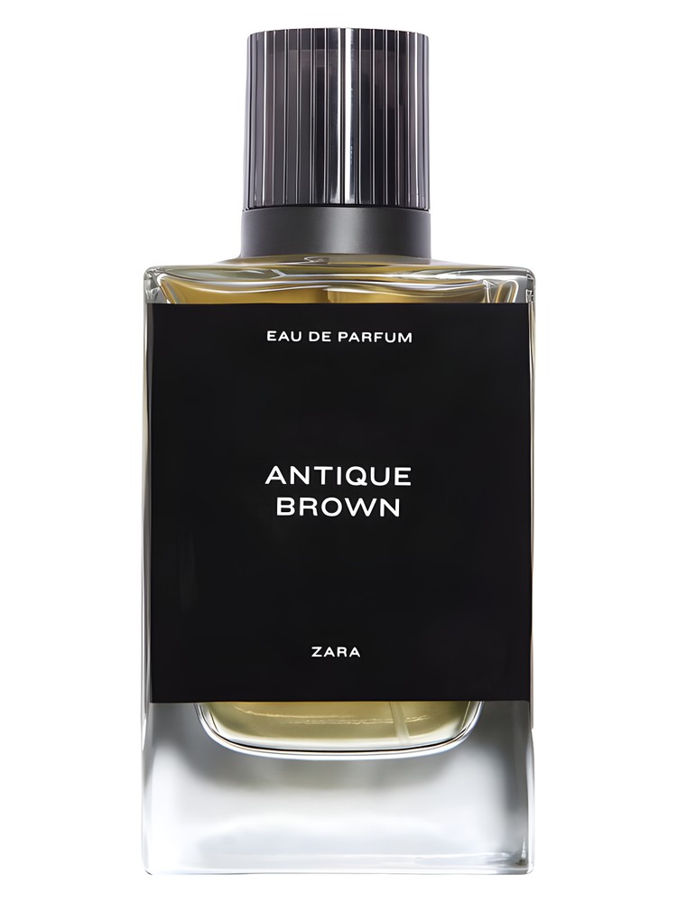 Antique Brown Zara cologne - a fragrance for men 2023
