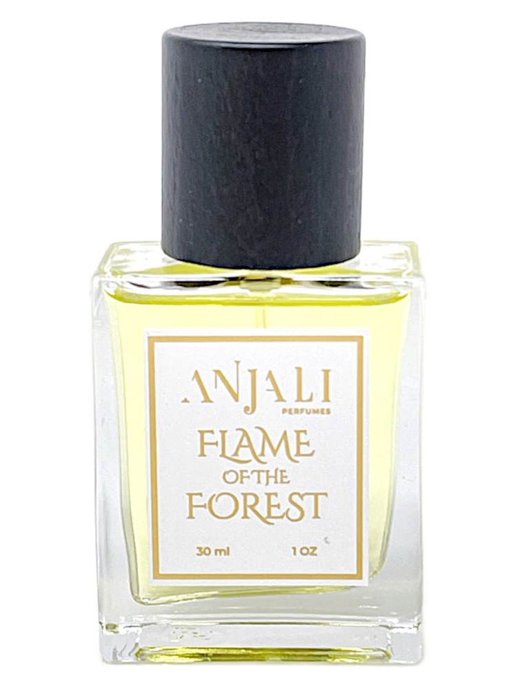 Flame of the Forest Anjali Perfumes perfume - a fragrance for women and ...