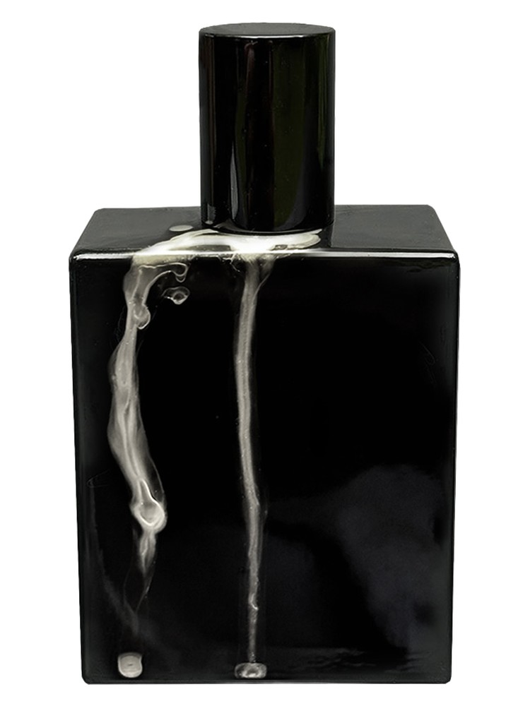 Funky Machine Space Fluid perfume - a fragrance for women and men 2023