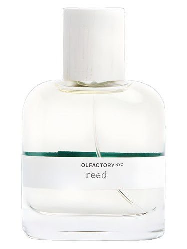 Reed Olfactory NYC perfume - a fragrance for women 2017