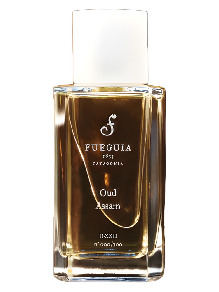 Oud Assam Fueguia 1833 perfume - a fragrance for women and men 2022