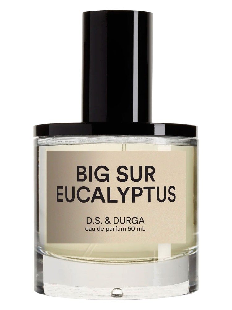 Big Sur Eucalyptus DS&Durga perfume - a fragrance for women and men 2023