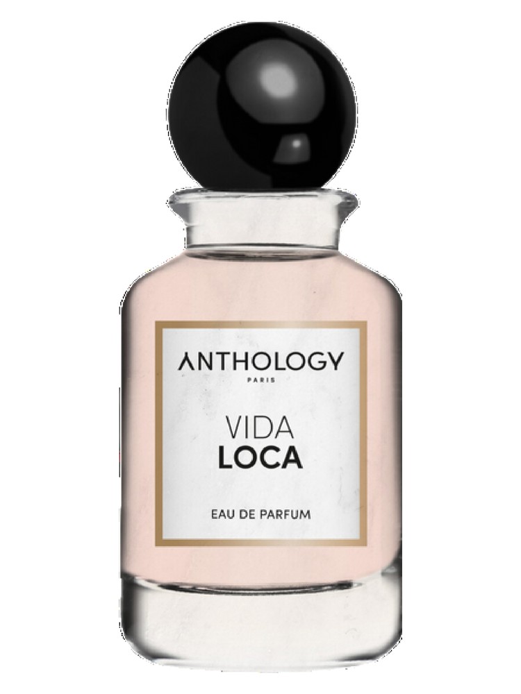 Vida Loca Anthology perfume - a fragrance for women 2023