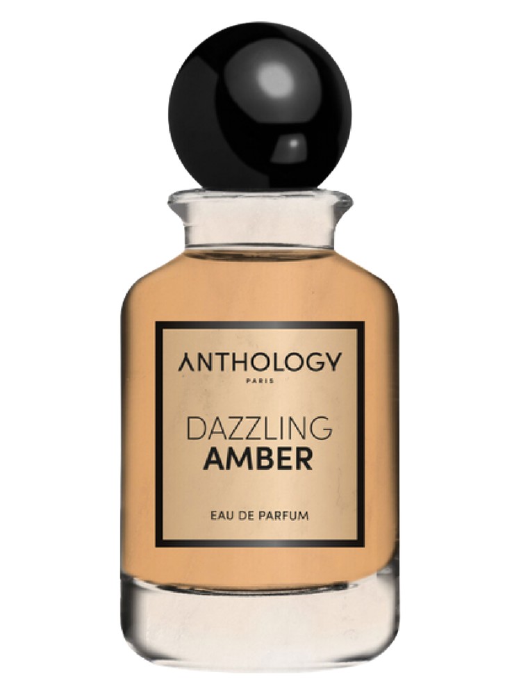 Dazzling Amber Anthology perfume - a fragrance for women and men 2023