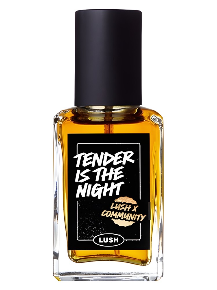 Tender is the Night Lush perfume - a fragrance for women and men 2023