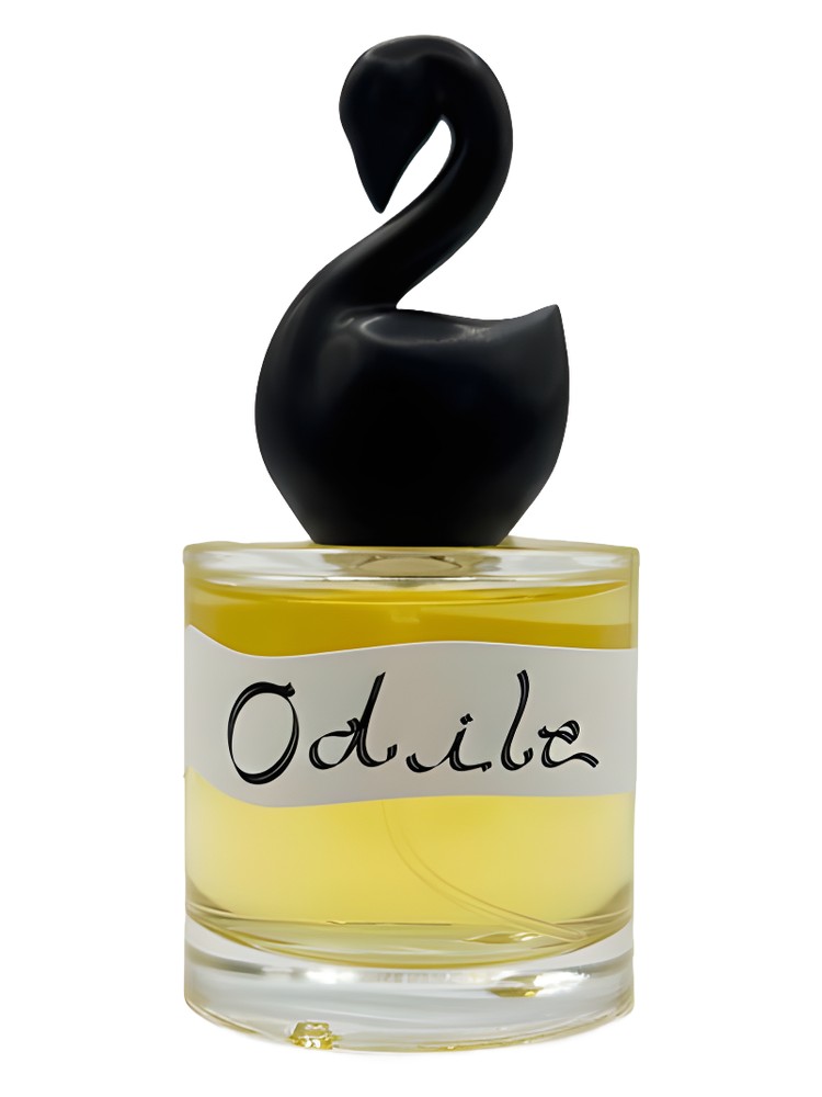Odile Gumamina perfume - a fragrance for women and men 2023