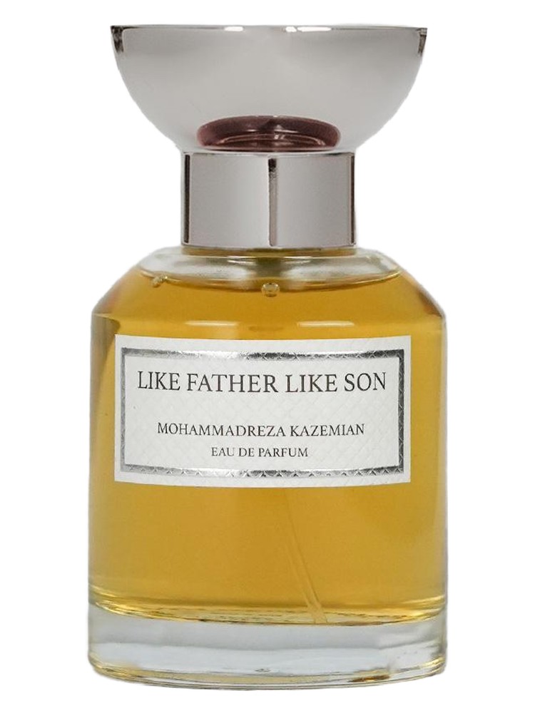 Like Father Like Son Mohammadreza Kazemian perfume - a fragrance for ...