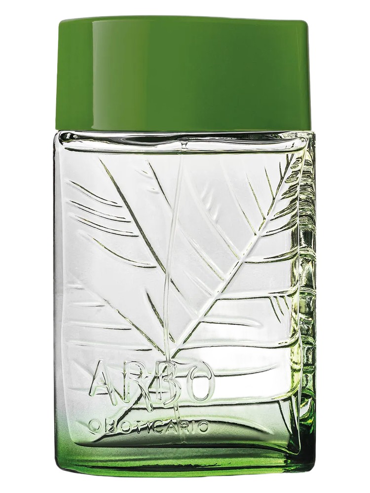 Arbo Puro O Boticário Colônia - a novo fragrância Masculino 2024