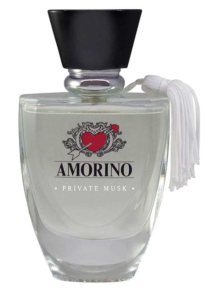 Private Musk AMORINO perfume - a fragrance for women and men