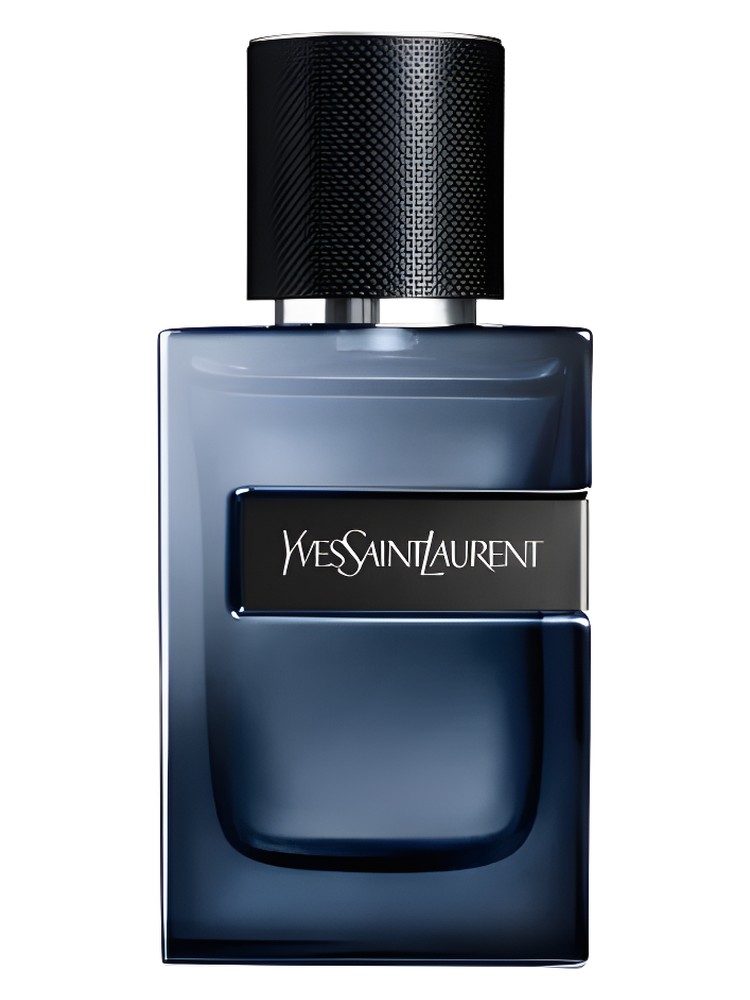 Y Elixir Yves Saint Laurent cologne - a new fragrance for men 2024