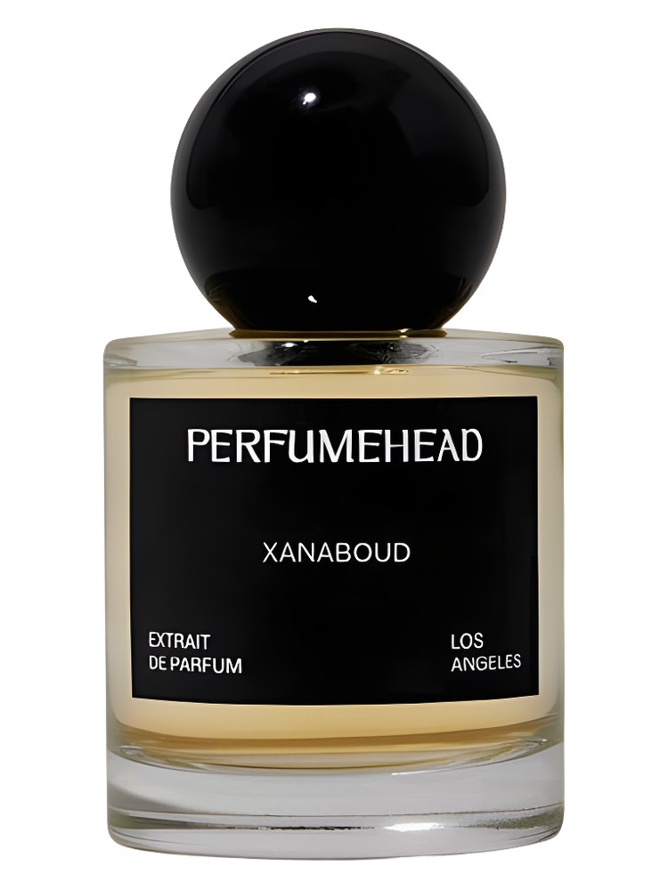 Xanaboud Perfumehead perfume - a fragrance for women and men 2023